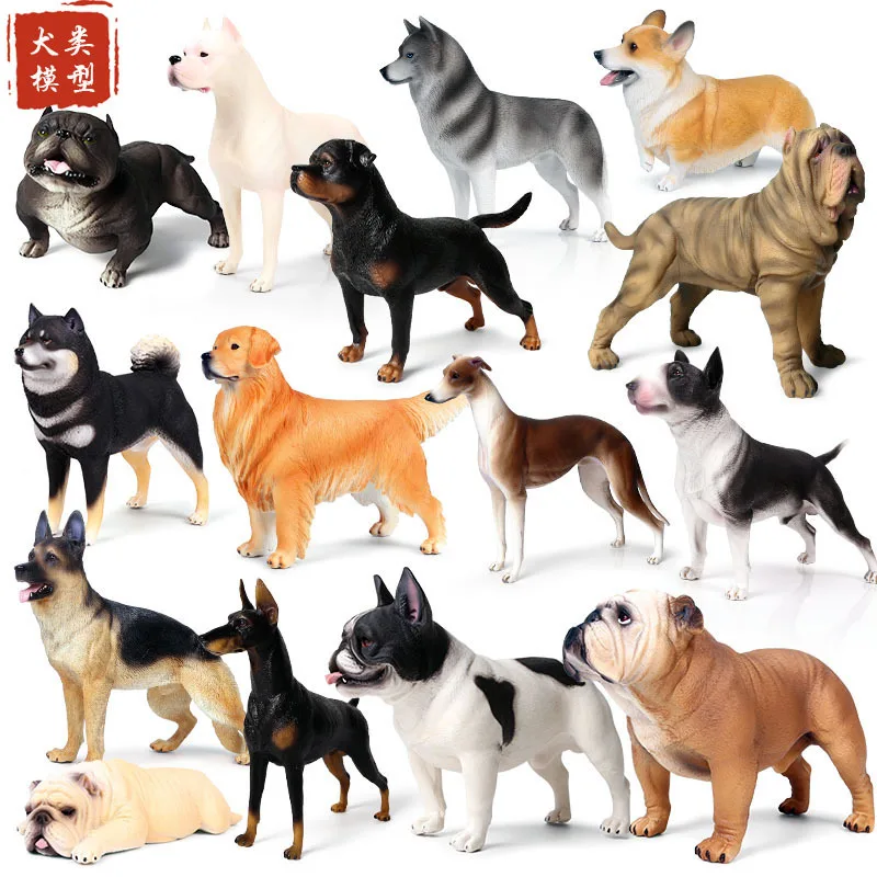 Simulated-Animal-Dog-Model-Golden-Haired-Dog-Teddy-Bulldog-Koki-Collie ...