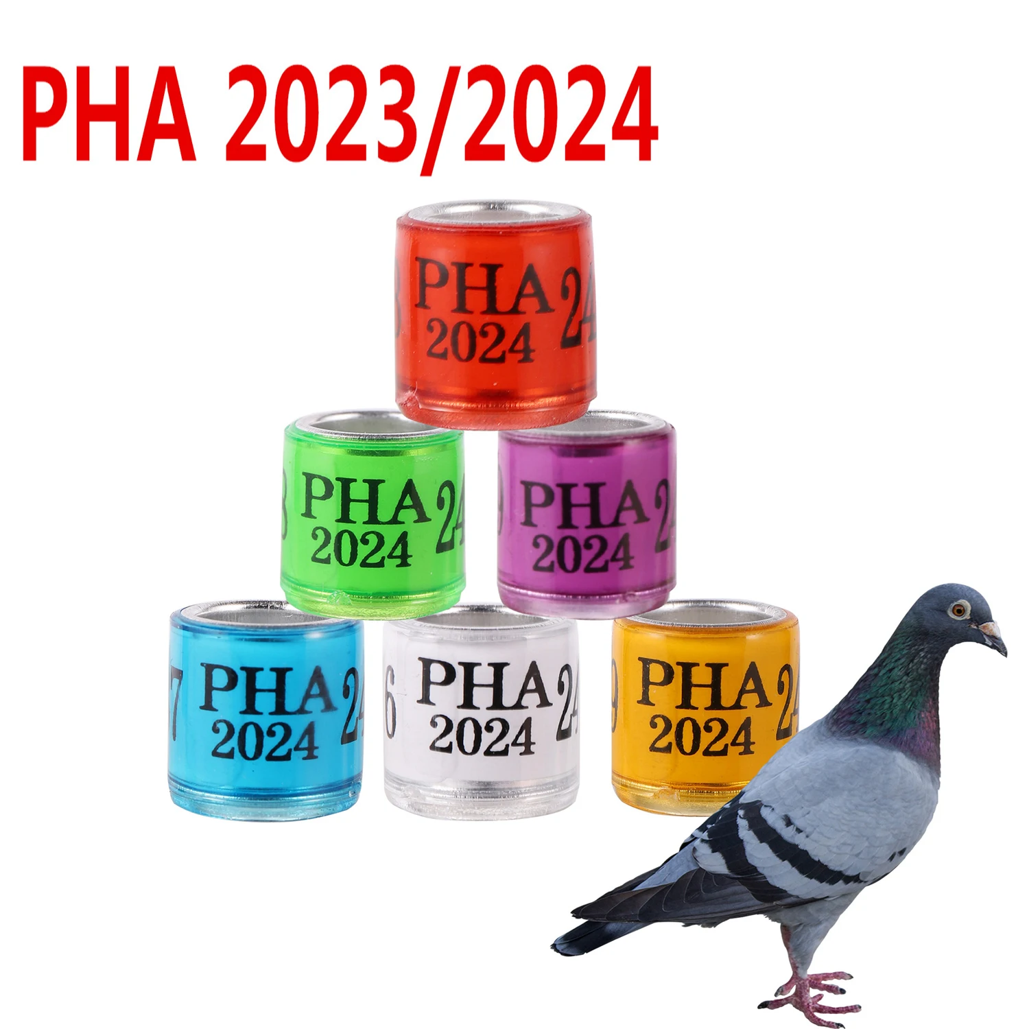 Pigeon Racing Pha