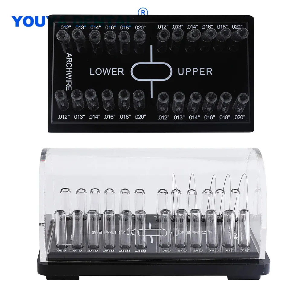 Dental-Acrylic-Arch-Wire-Case-Round-Rectangular-Orthodontic-Archwire ...