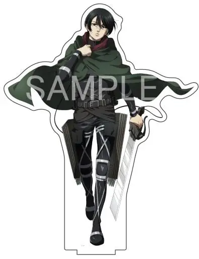 Mikasa Ackerman And Levi