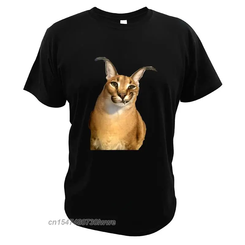 Big Floppa Shirt | Tee Tops | T-shirt - Big T-shirt Funny Cute Graphic ...