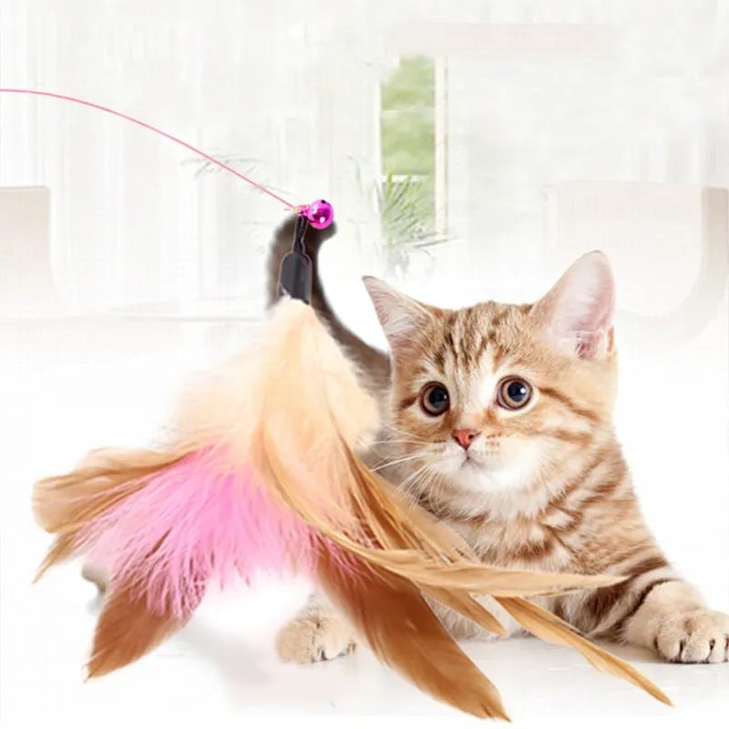 Long-rod-teasing-cat-stick-steel-wire-feather-bell-cat-interactive-toy ...