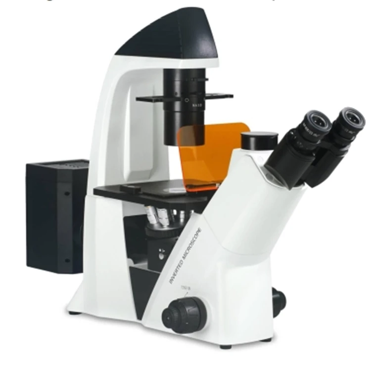 biological-inverted-lab-microscope-for-sale-fluorescence-microscope.jpg
