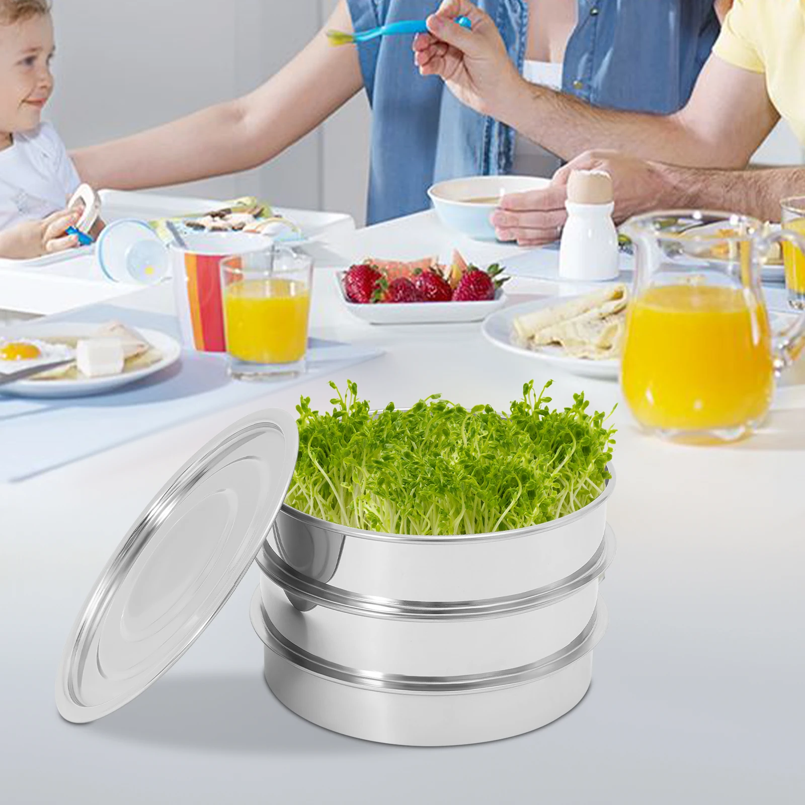 Stackable Stainless Steel Seed Sprouting Kit,Seed Sprouting Tray with ...
