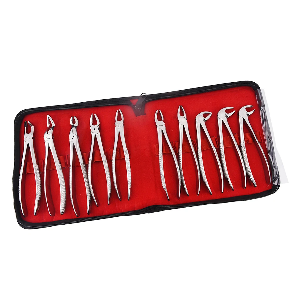 Dental Surgical Extraction Instrument | Dentist Forceps Extraction ...