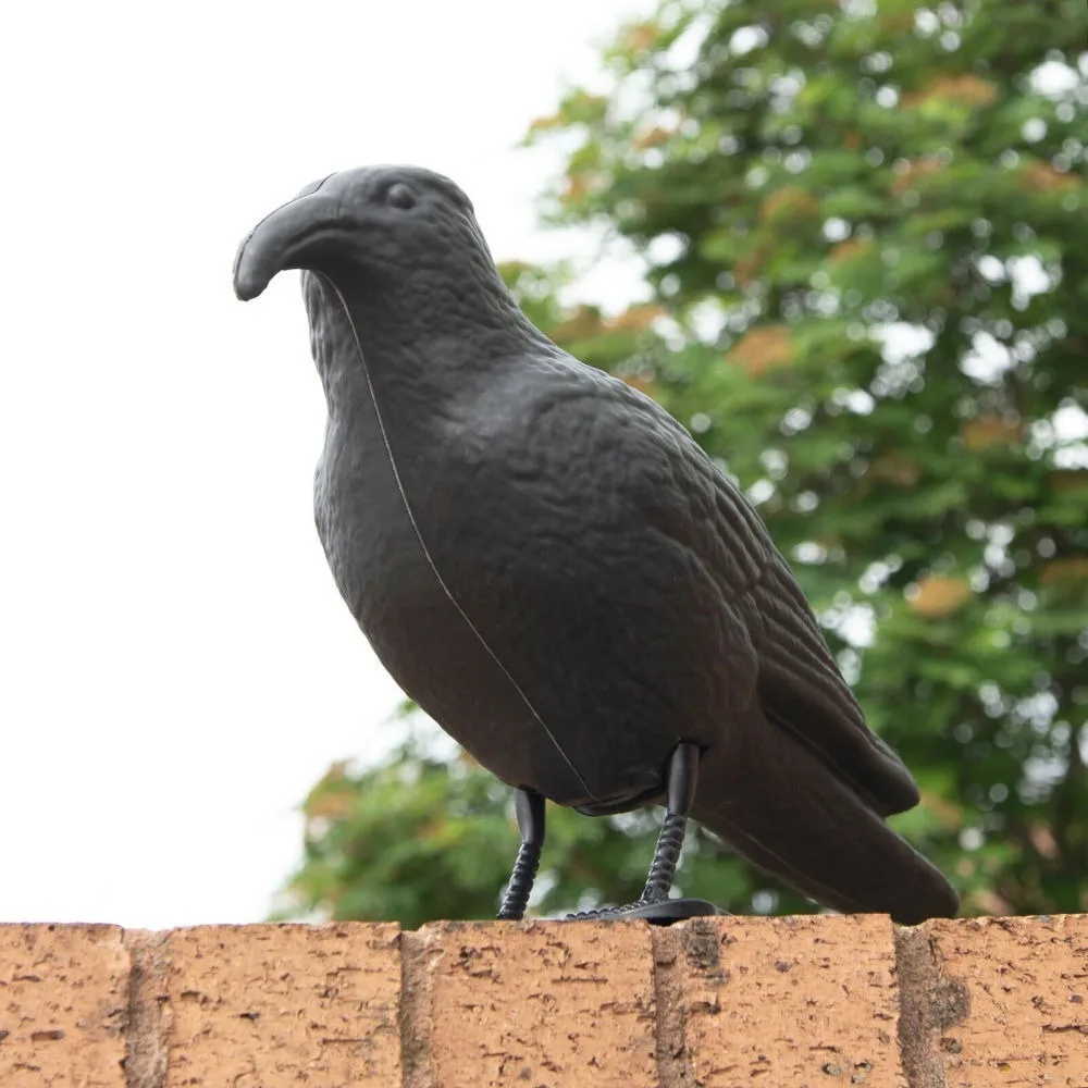 Pigeon-Scarer-Life-Size-Decoy-Crow-Pest-Control-Repellent-Deterrent ...