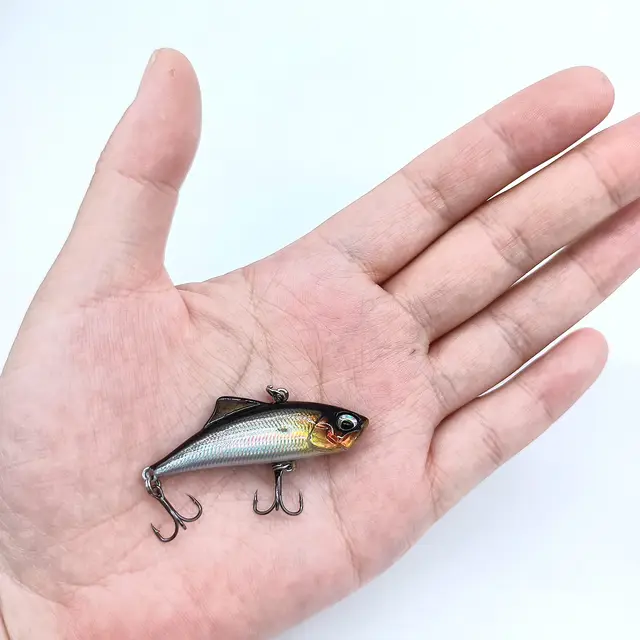 Store Home Products New Year Bliss Top Selling Feedback