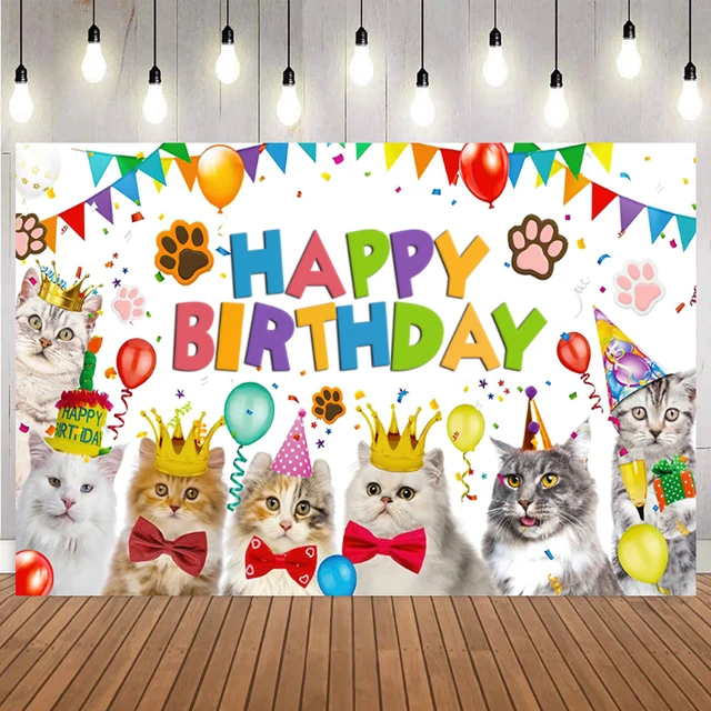 Party Cat Wallpaper