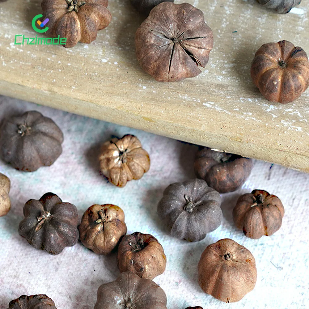 15PCS-Mini-Natural-Halloween-Pumpkins-Decoration-Ornaments-DIY-Material ...
