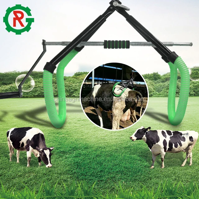 Hip Lifter For Cows Discounted Deals | www.oceanproperty.co.th