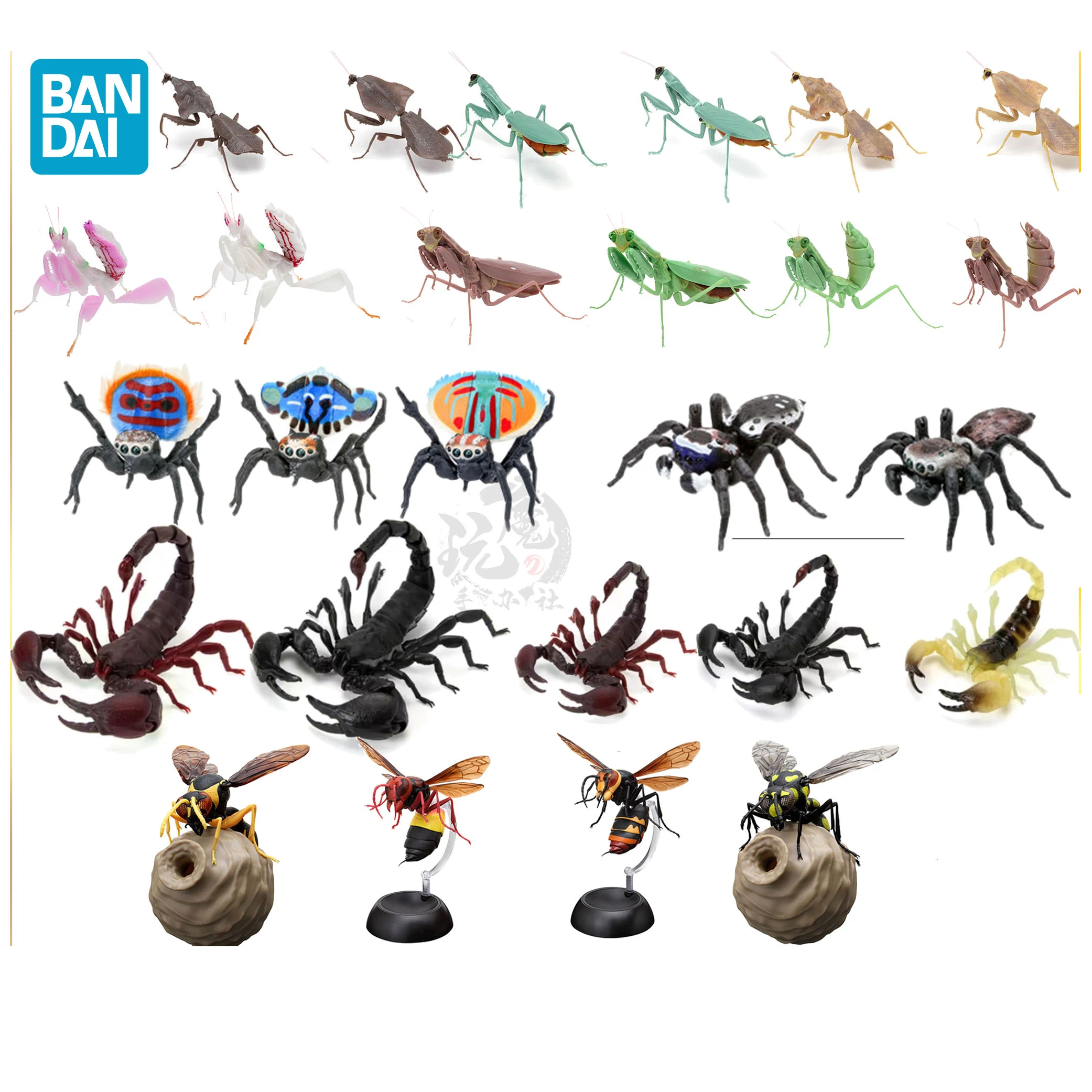 Bandai-Insects-Gashapon-Big-Picture-Book-Series-Mantis-Spider-Scorpion ...