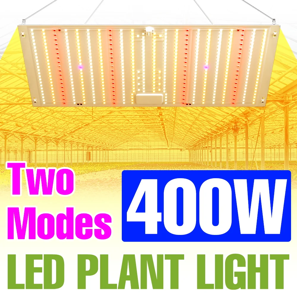 400W LED Quantum Board Grow Light Full Spectrum Greenhouse Vegetable ...