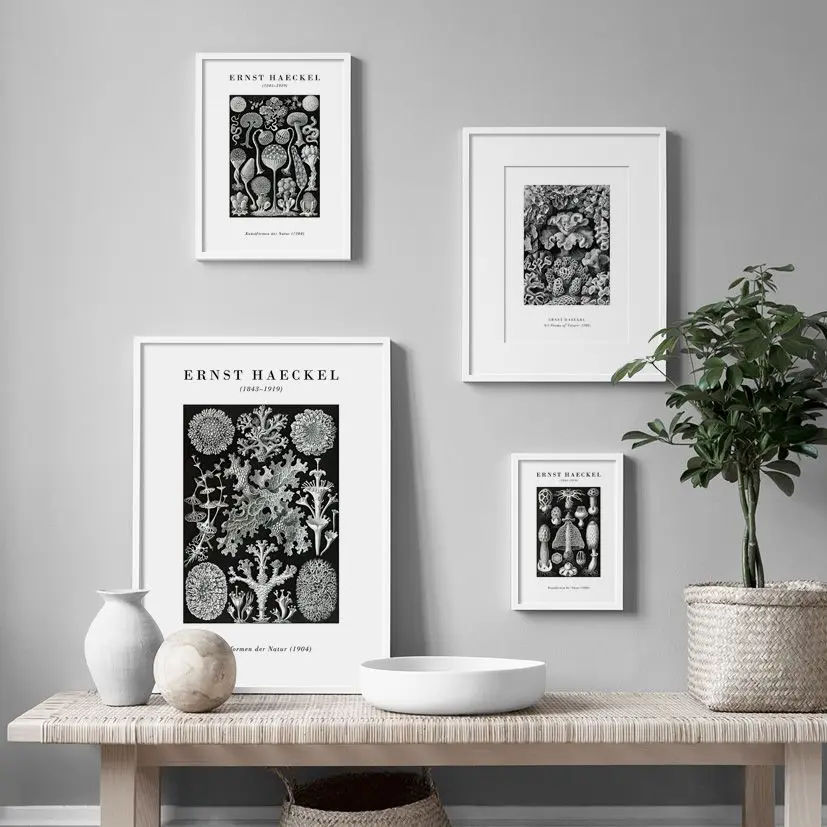 Biological-Cell-Ecology-Phylum-Sketch-Posters-And-Prints-Wall-Art ...
