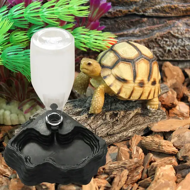 Turtle Automatic Feeder Automatic Water Dispenser For Reptiles Easy ...