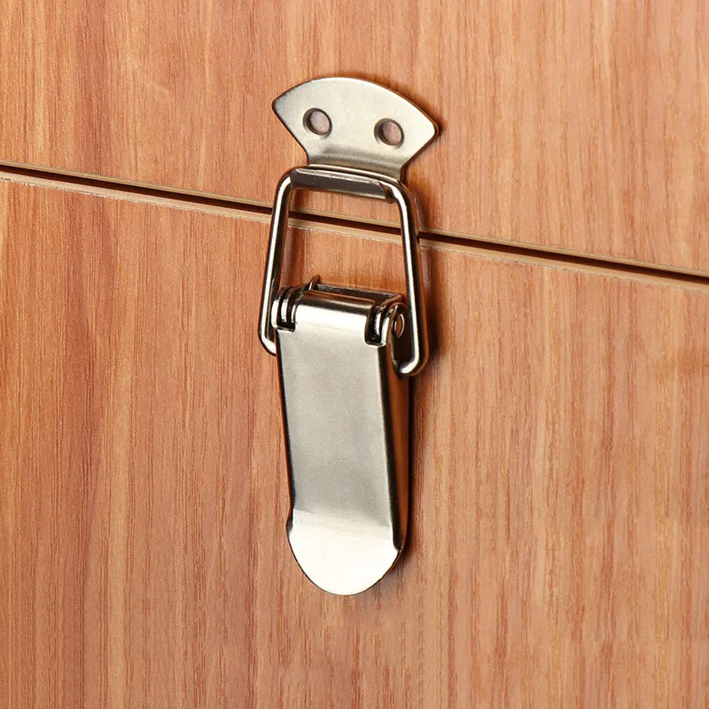 Spring Loaded Lever Latch: The Hidden Gem for Secure, Durable Enclosure ...