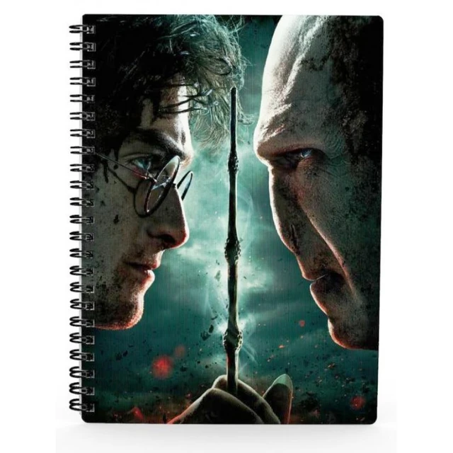 Harry Potter Vs Voldemort Drawing