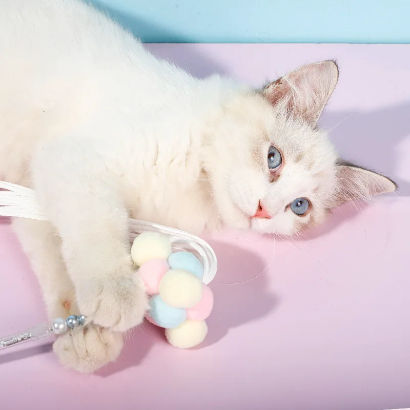 White Cat With Bell Ribbon