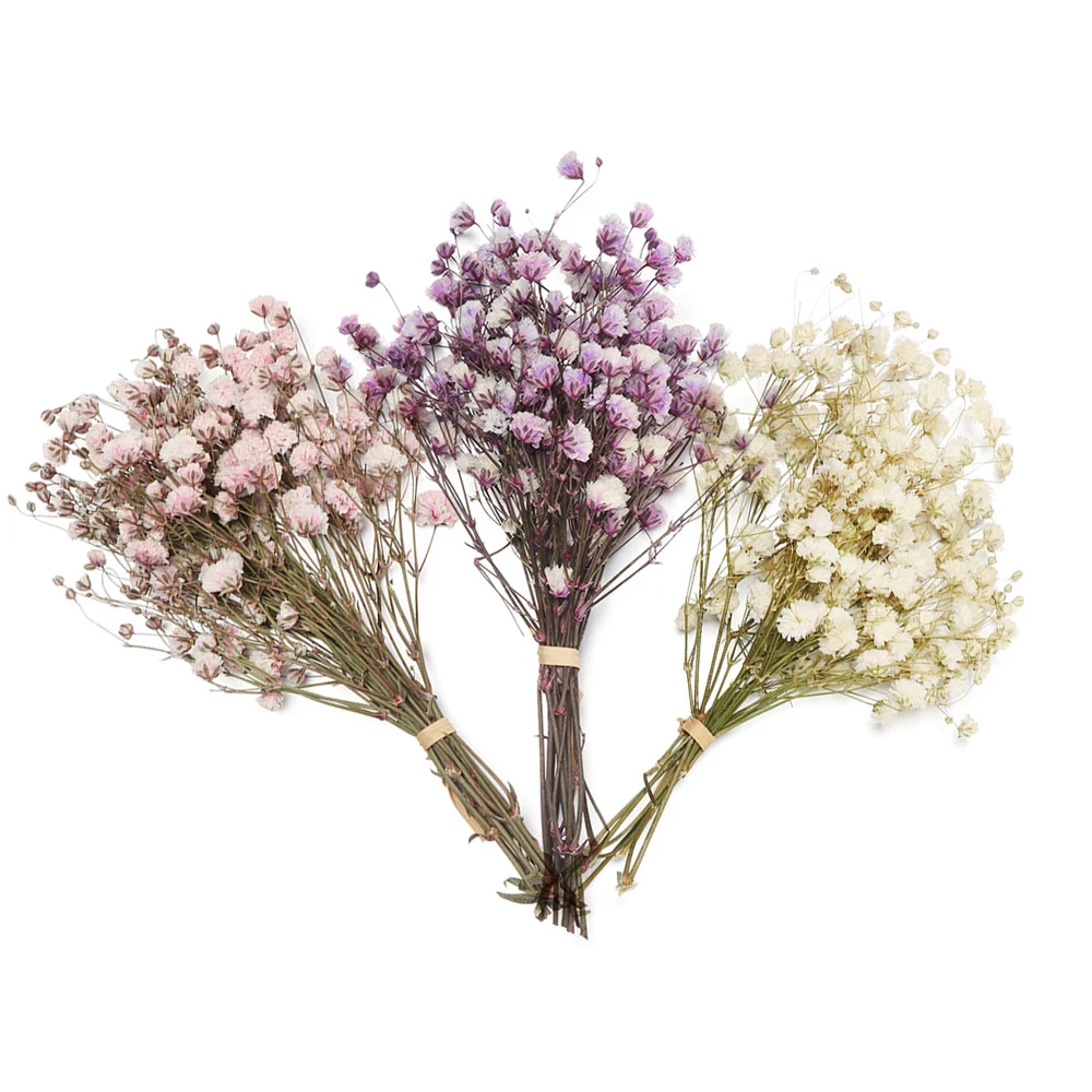 Mini ramos secos naturales Babysbreath, Material Natural, tallos de ...