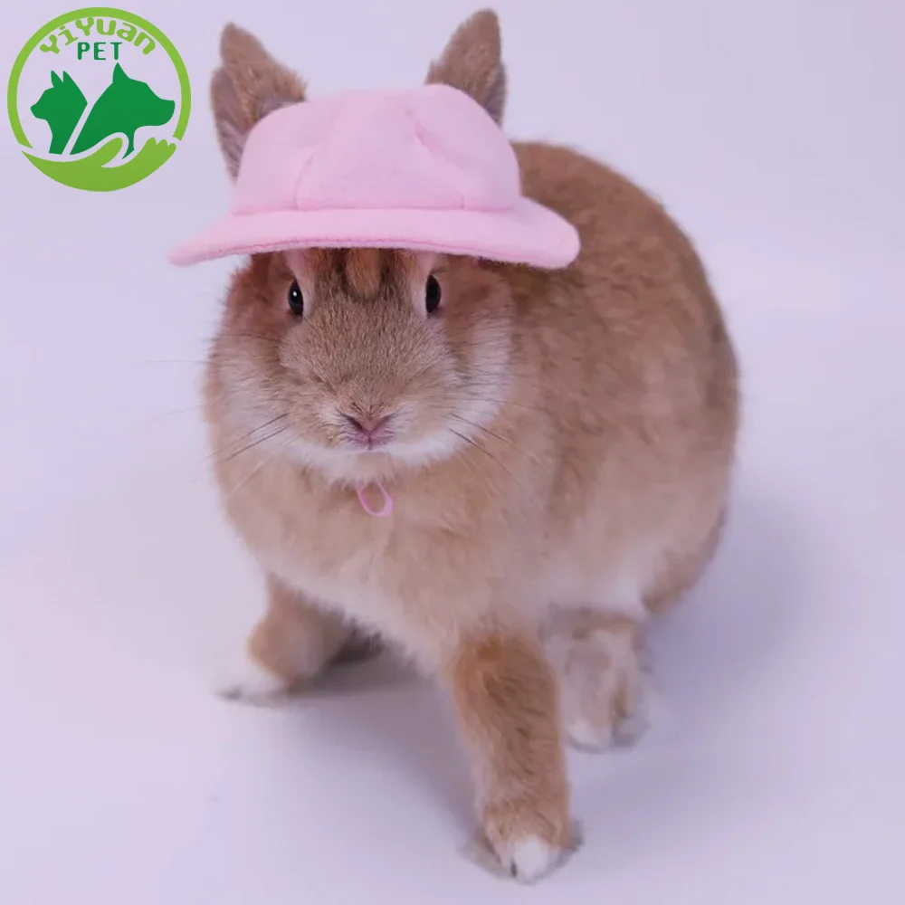 Pet-Rabbit-Hats-4-Colors-Helmet-Small-Animal-Headwear-Accessories-With ...