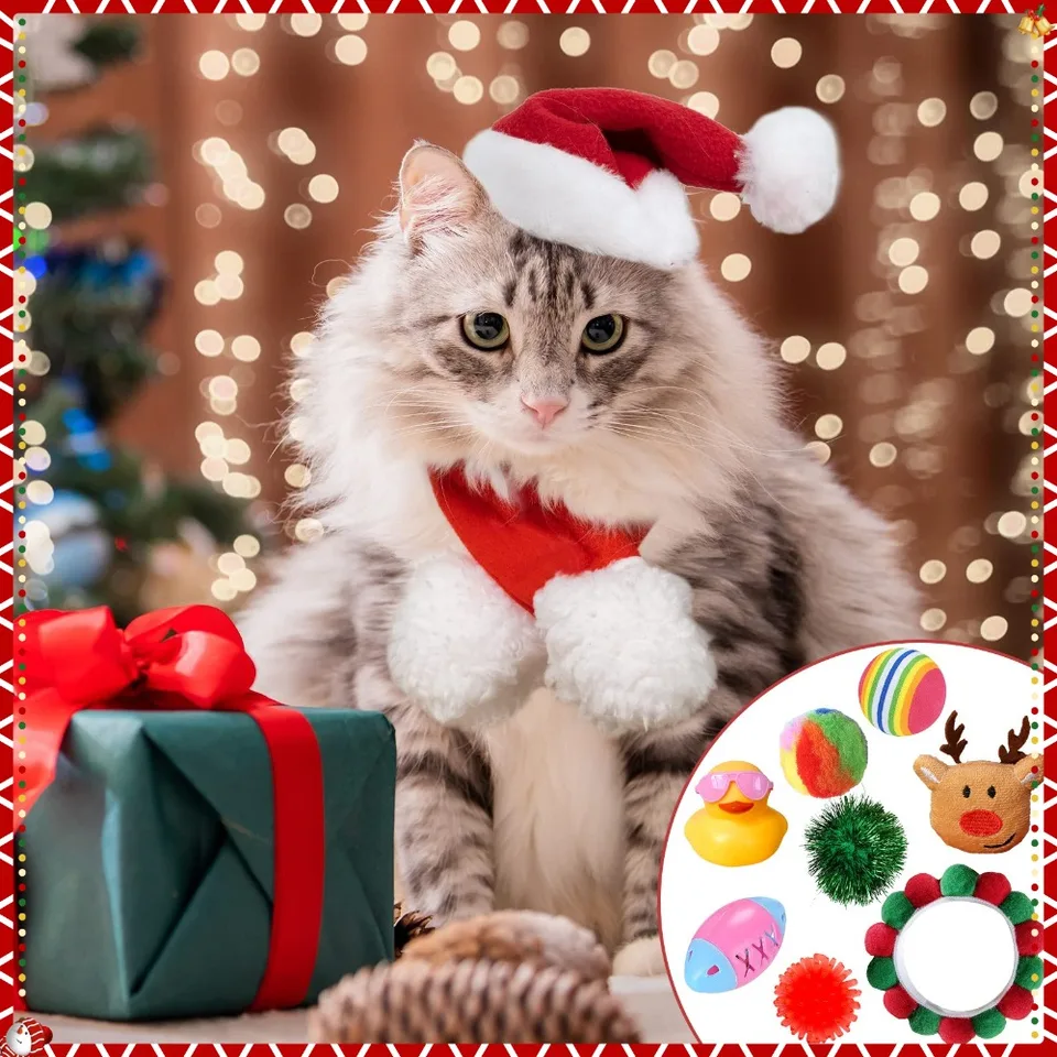 Advent Calendars For Cats Cat Advent Calendar 2024, Christmas Countdown ...
