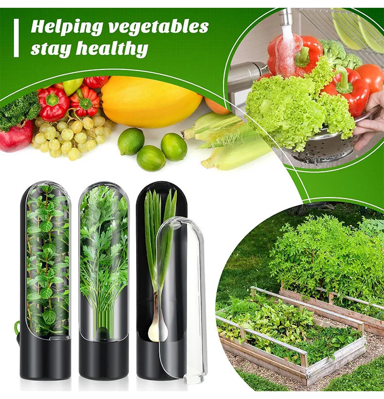 Vegetables Fresh Preservation Bottle Herb Saver Storage Container Fresh ...