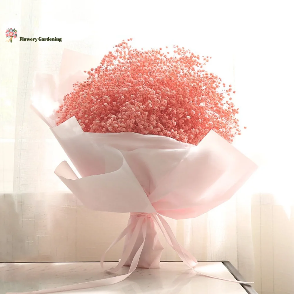 100g Babys Breath Dried Flowers Gypsophile Bouquet Pink Eternal Valentines Day Nordic Home Decor ...