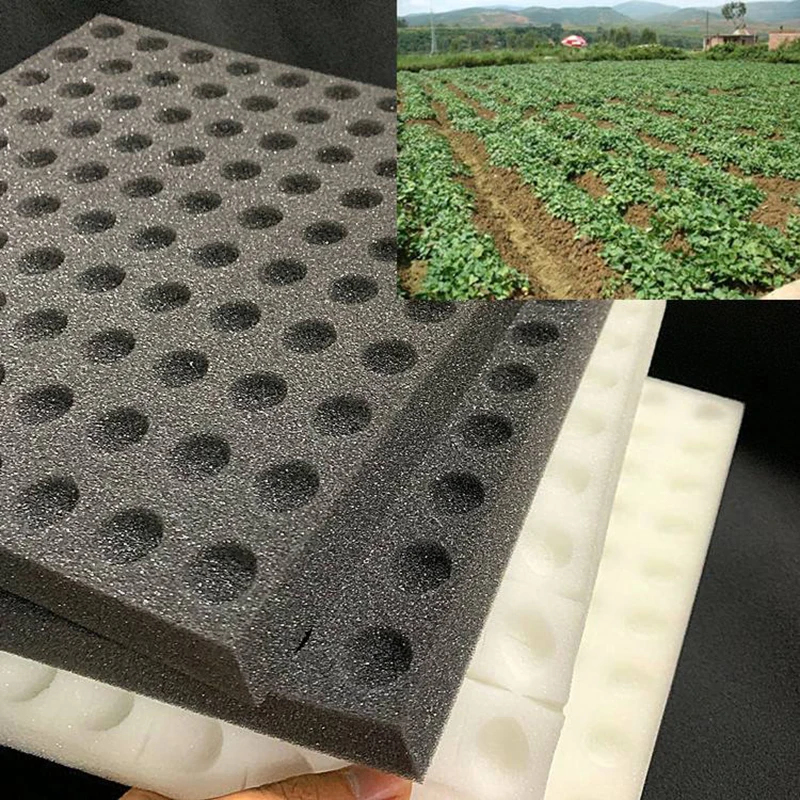 1Pc 100 Holes Water Cultivation Square Seedling Sponge Colonization ...
