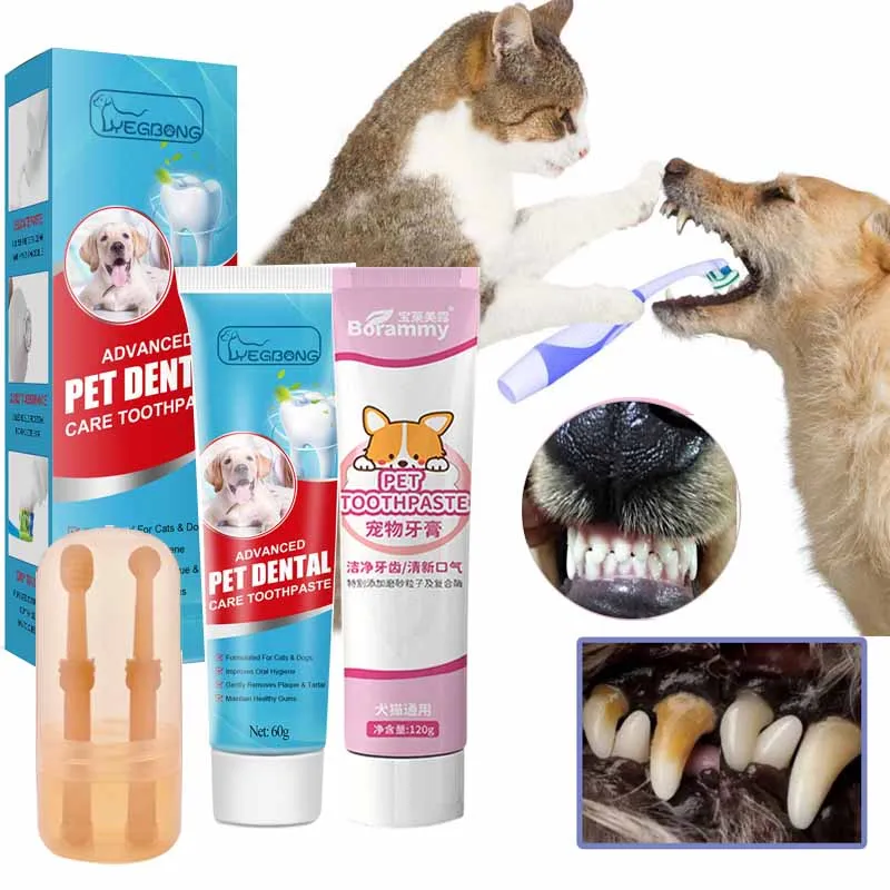 Cats-Dogs-Cleaning-Products-Pet-Toothpaste-Pet-Oral-Gum-Care-Cleaning ...