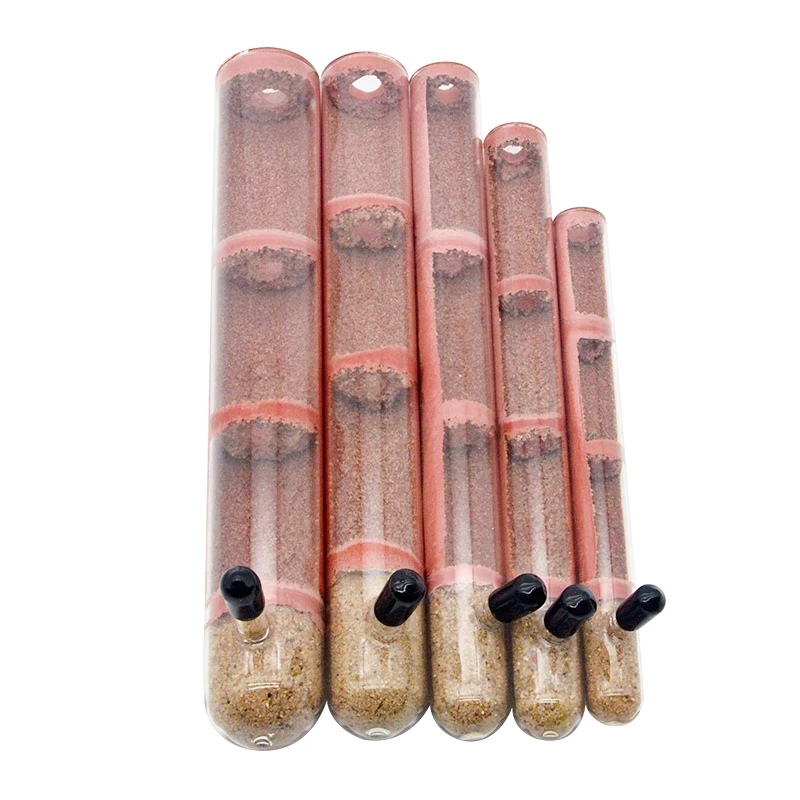 Various Sizes Ecological Ant Farm Bamboo Test Tube Ant Nest Plaster ...