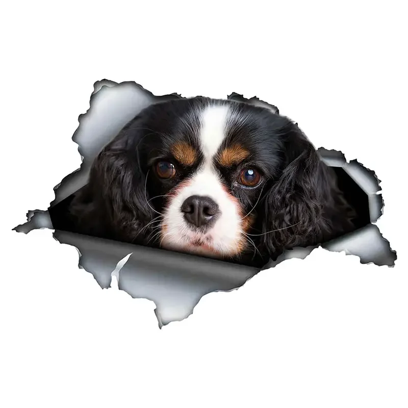 Car-stickers-personality-decals-Cavalier-King-Charles-dog-car-stickers ...