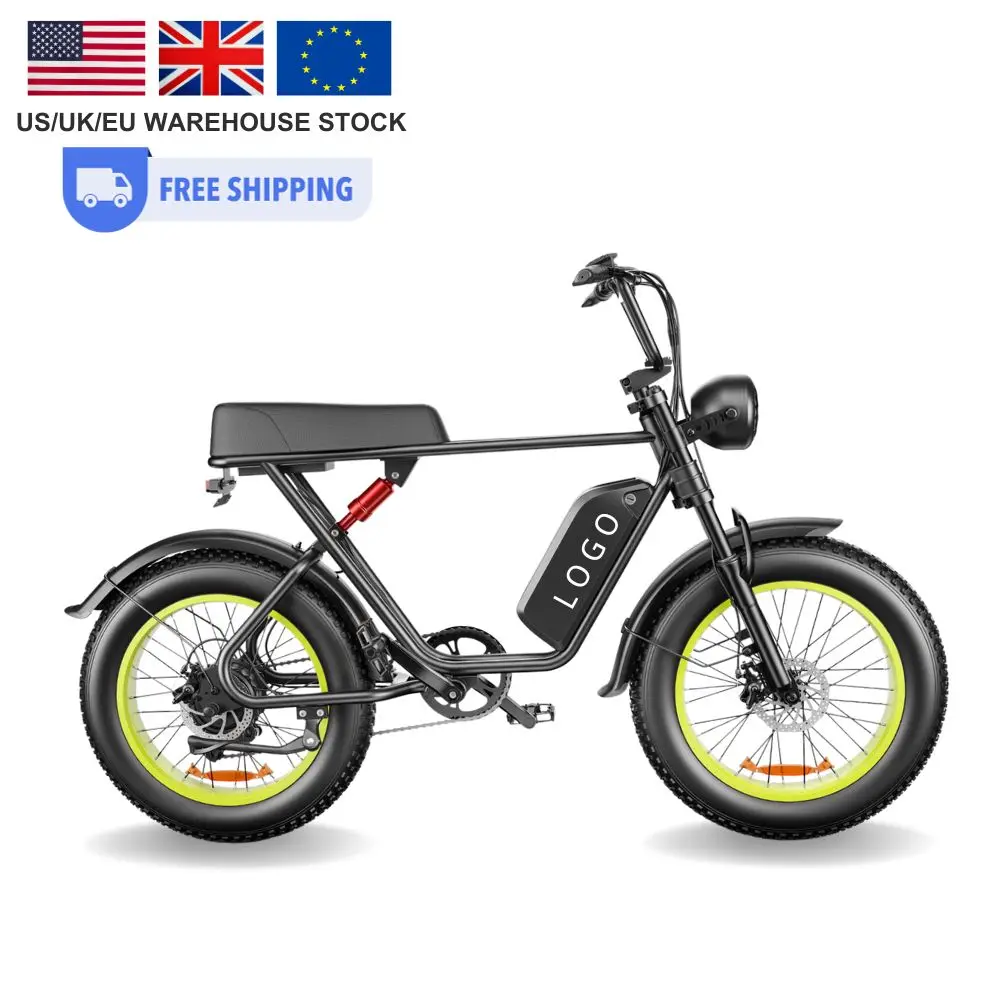 Electrische-fiets-vintage-electric-bike-us-ebike-1000w-48v-e-bike-usa ...