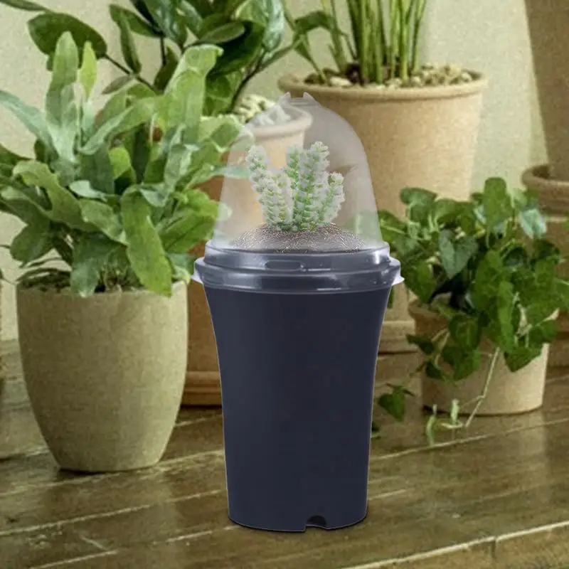 Saks-bitki-kre-tencere-tohum-Stater-bardaklar-kapak-ile-saks-lar-drenaj ...