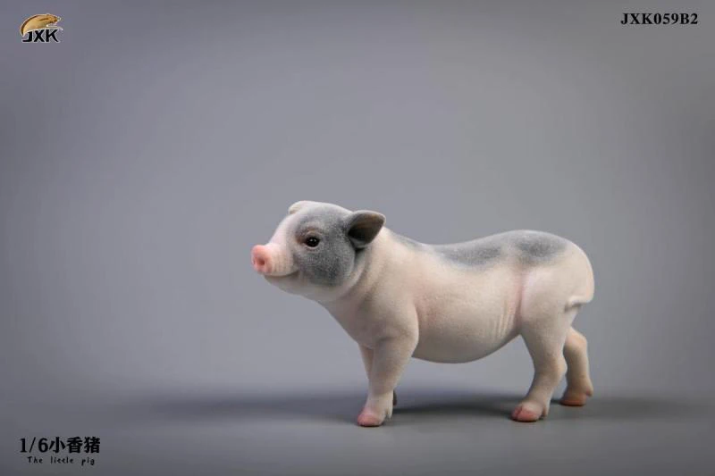 Teacup Pigs Toy
