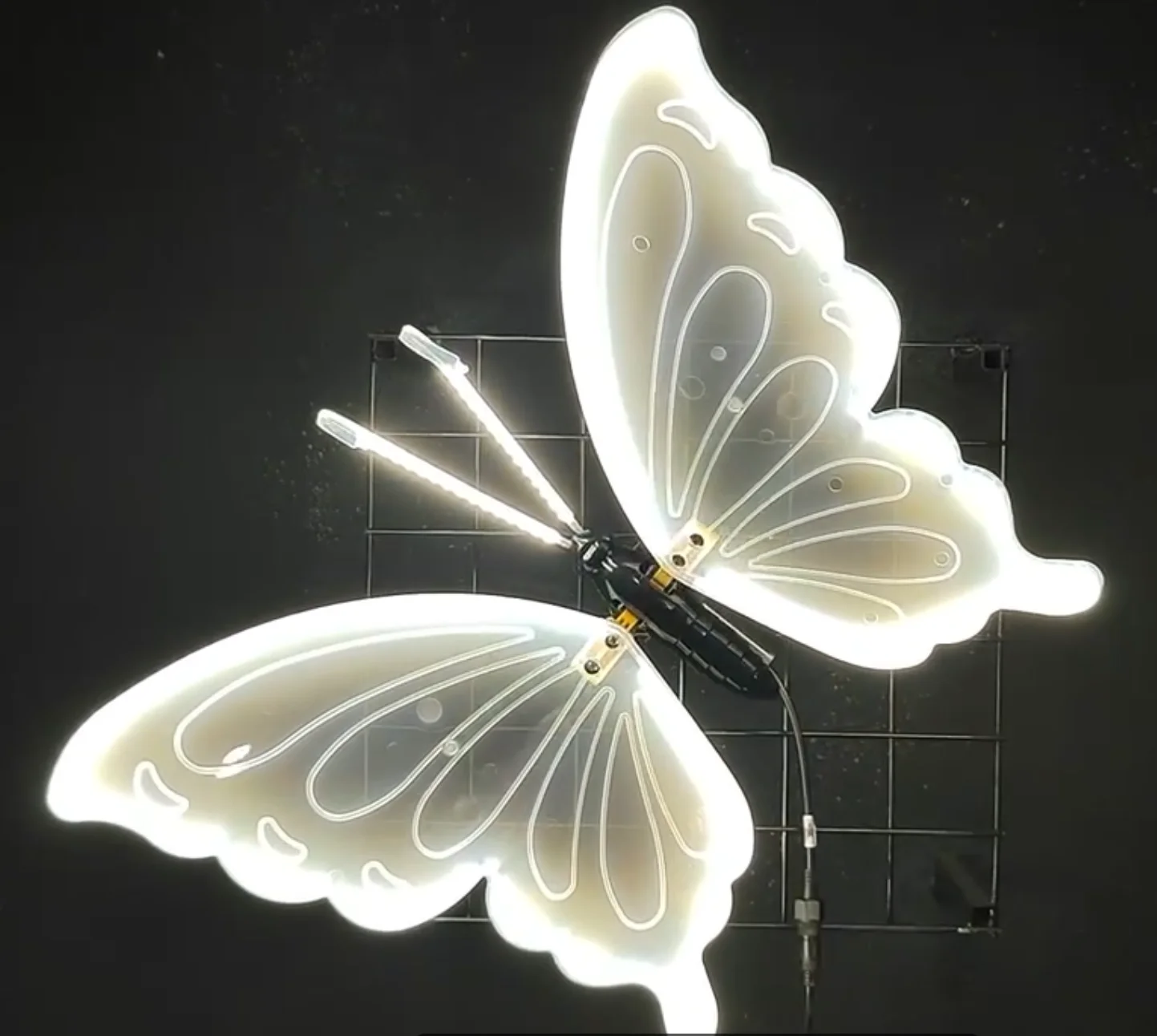 Luces-LED-de-mariposa-est-tica-simulaci-n-din-mica-para-exteriores ...