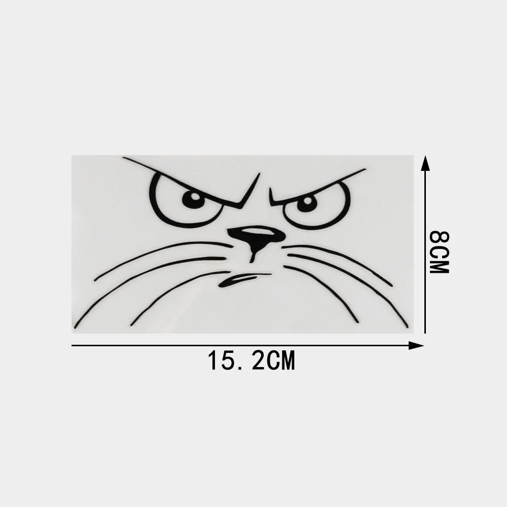 Mean Cat Face Drawing