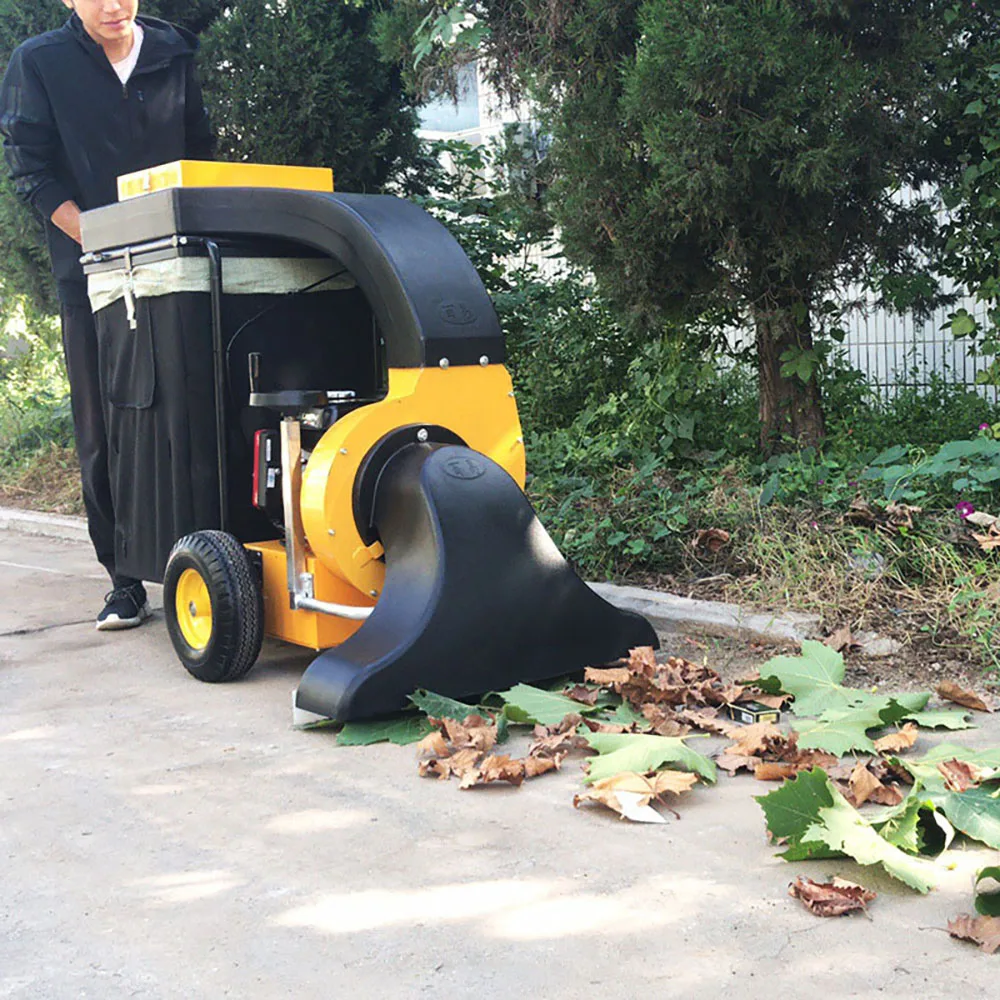 Push Leaf Vacuum