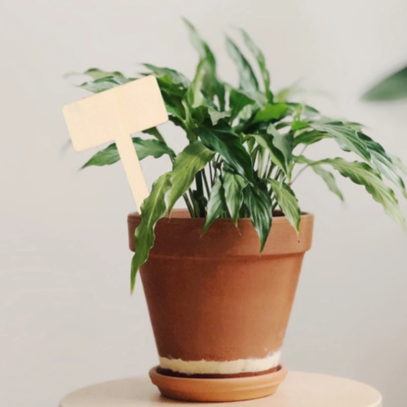 Wooden-handicrafts-floral-plaques-succulent-labels-landscape-signs ...