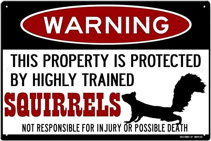 Squirrel-Sign-Funny-Metal-Signs-Protected-by-Squirrels-Squirrels ...
