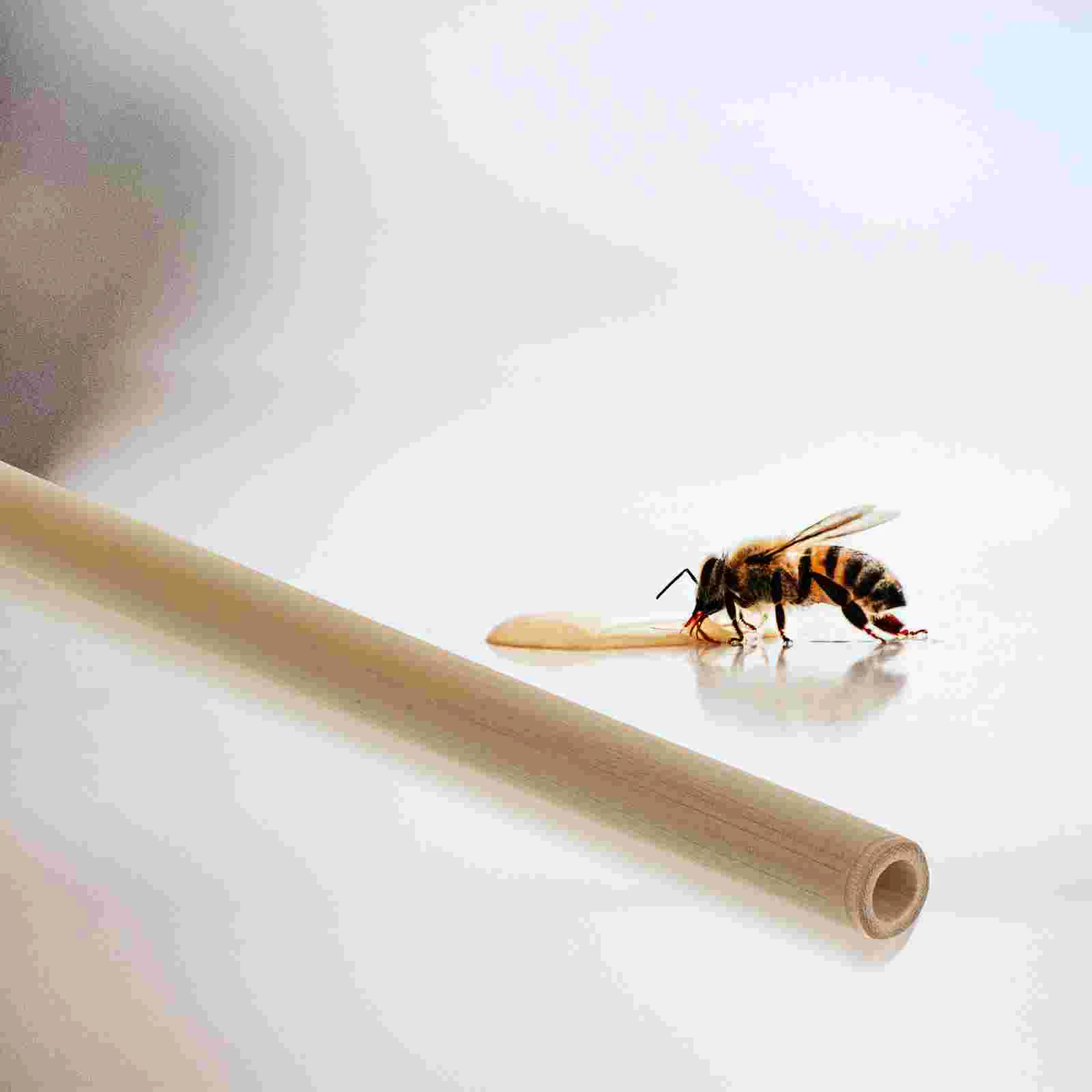 20pcs-Bamboo-Tube-Bee-Nest-Tubes-Bee-Tubes-for-Beehive-Bamboo-Bee-Tubes ...