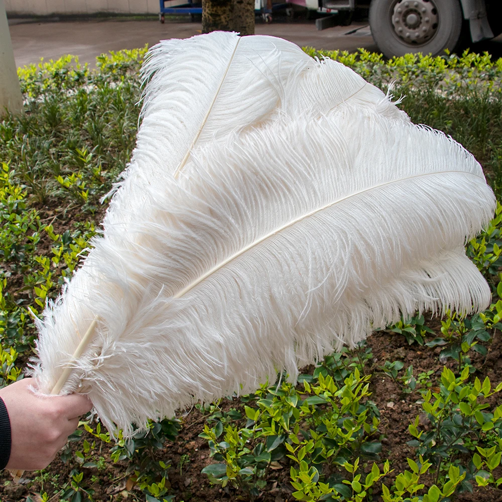 100Pcs-Colored-Ostrich-Feathers-45-50CM-for-Crafts-Wedding-Party-Decor ...