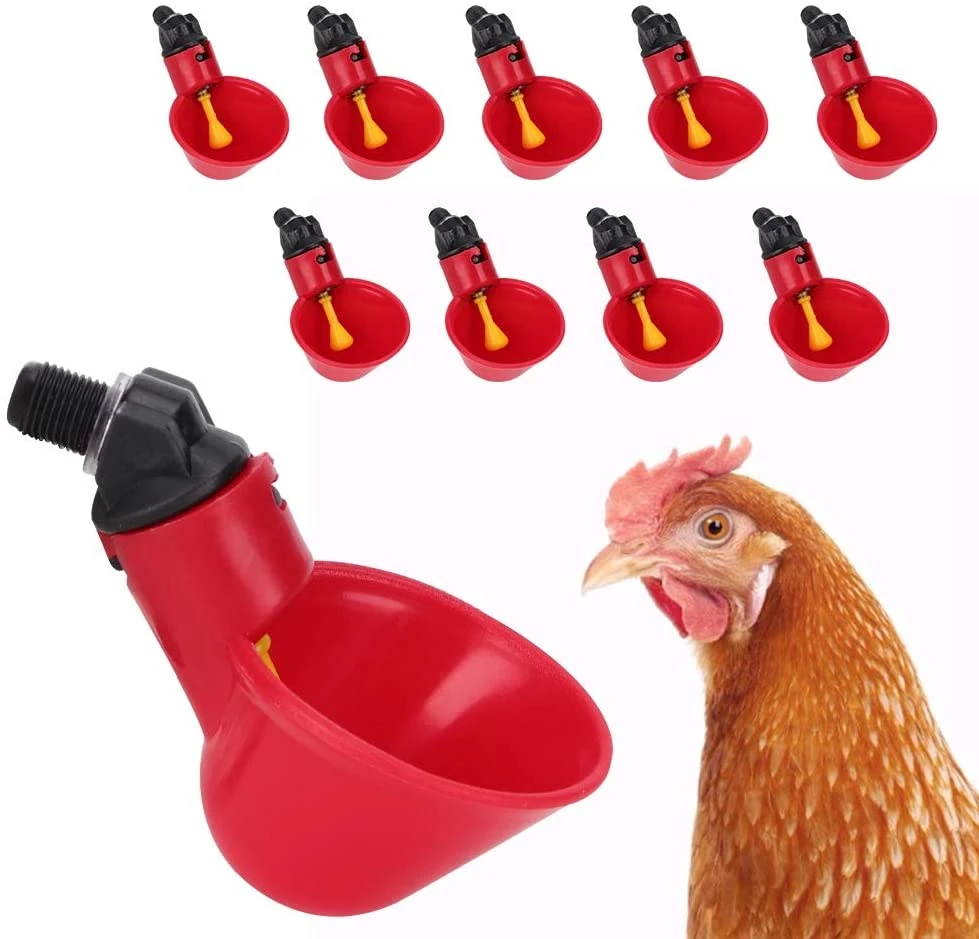 Diy Auto Chicken Waterer