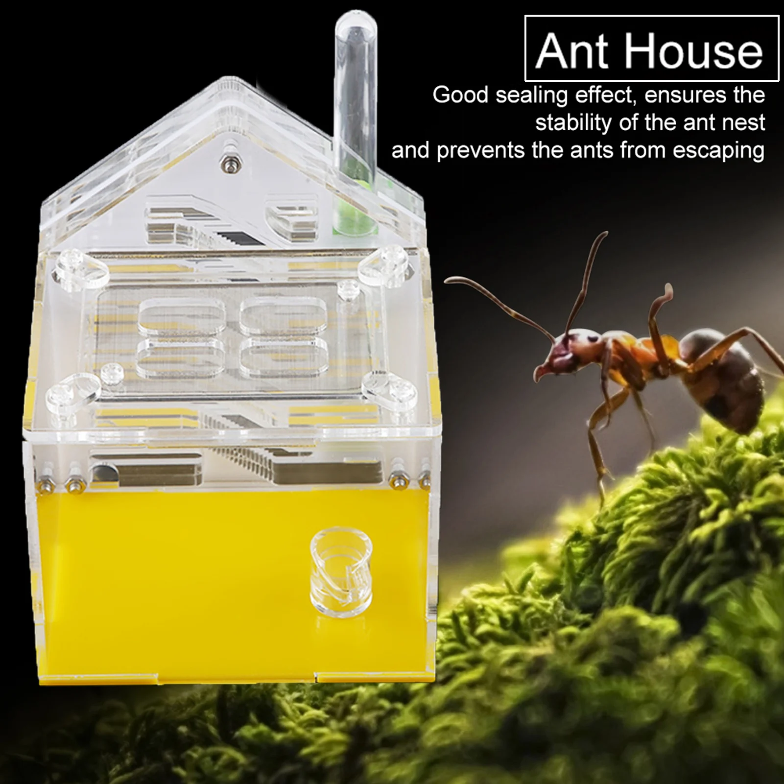 Acrylic Ant Nest Villa Farm House Formicarium For Ant Feeding ...