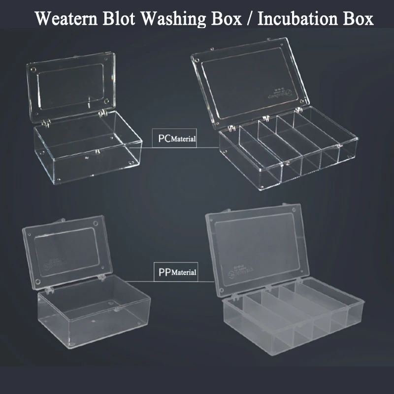 Biosharp-Western-Blot-Detection-Decolorization-Box-PC-PP-Material ...