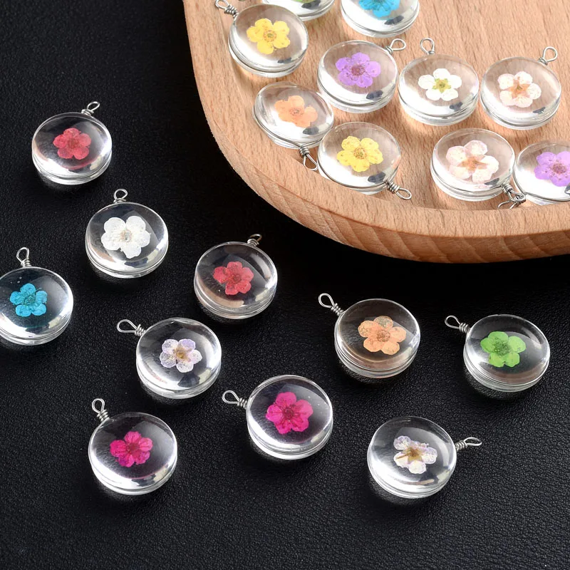 12-Natural-Real-Hibiscus-Daisy-Daffodils-Sakura-Plum-Petunia-Blossom ...