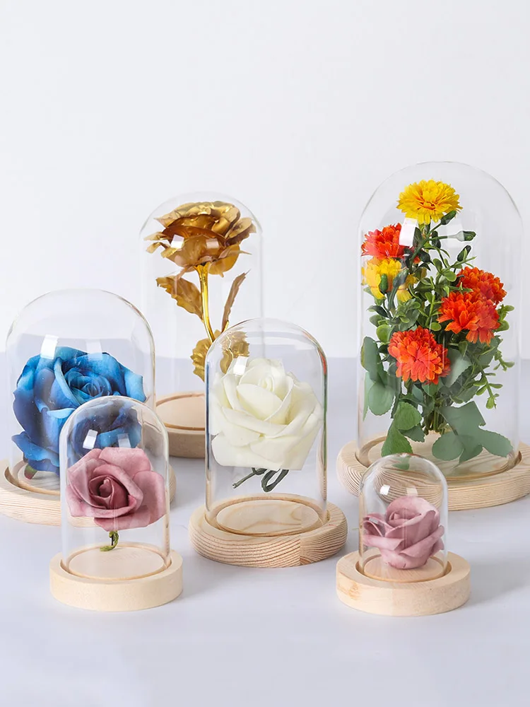 Glass-Dome-Cover-Terrarium-Bottle-with-Wooden-Base-Immortal-Flower-Box ...