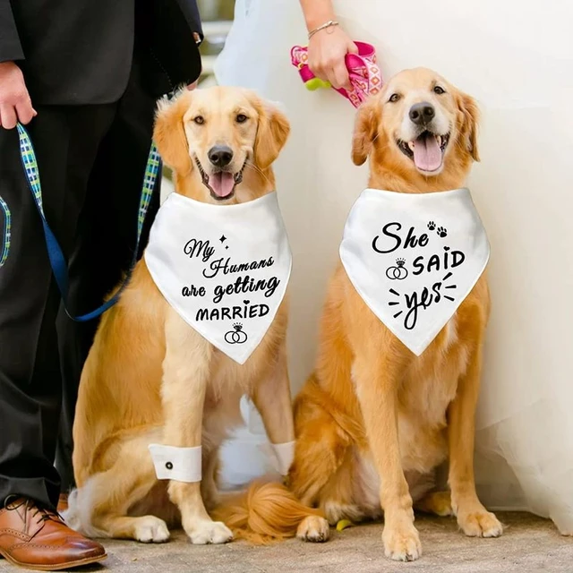 Puppies Getting Married