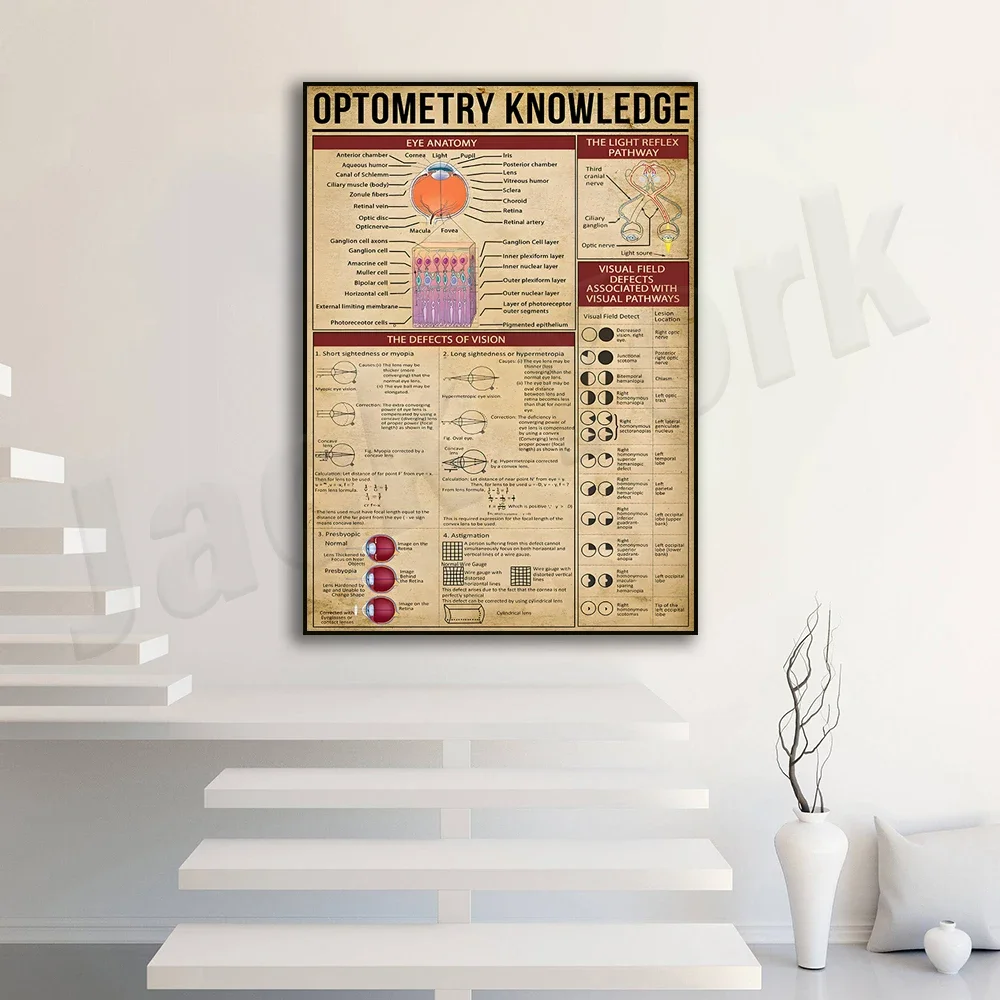 Optometry knowledge poster, optometry gift, optician, optometrist ...