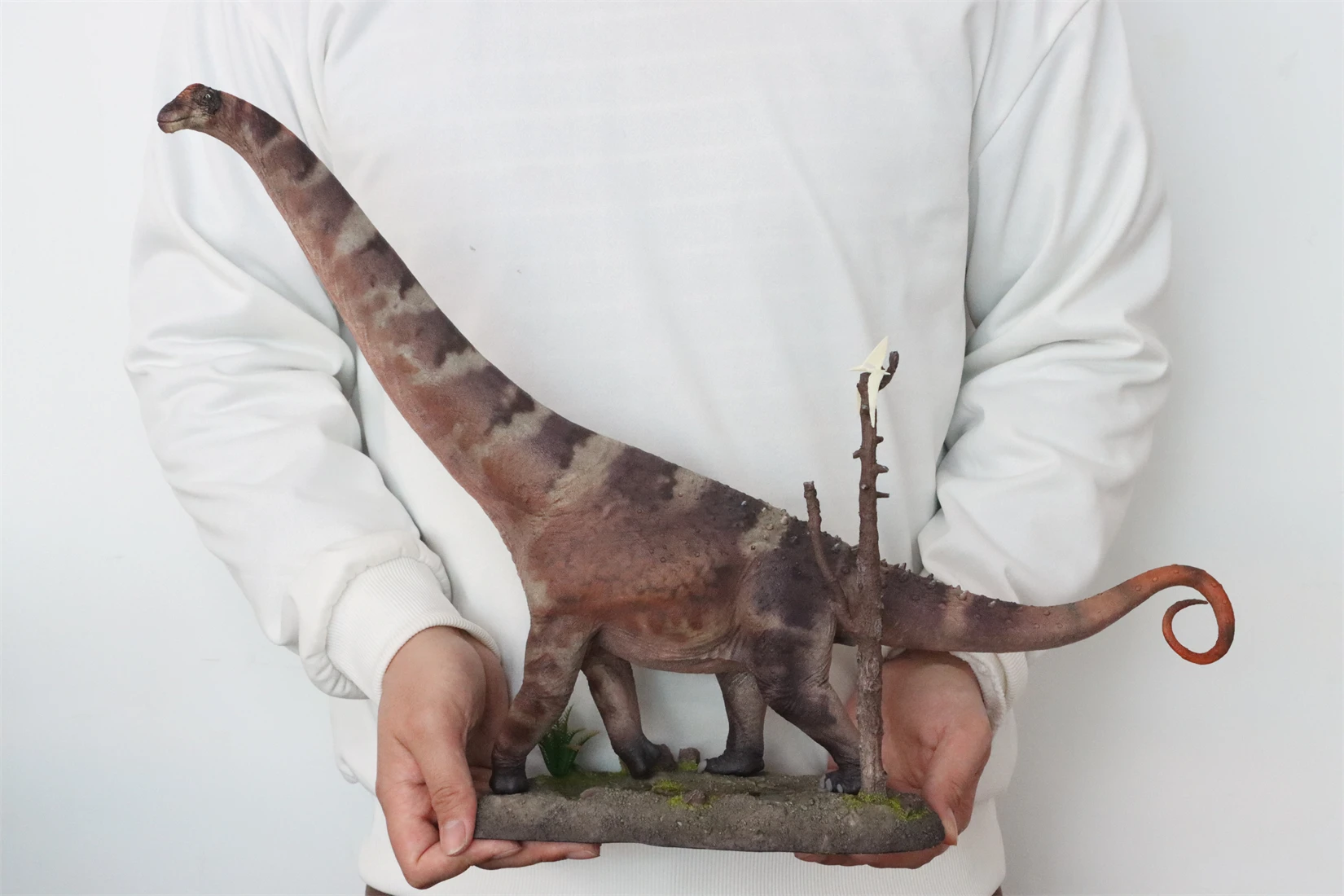 HAOLONGGOOD-1-35-Alamosaurus-Model-Saltasaurus-Dinosaur-Animal-Figure ...