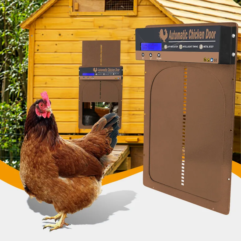 Rechargeable-Timer-Automatic-Chicken-Coop-Door-With-Solar-Light-Sensor ...