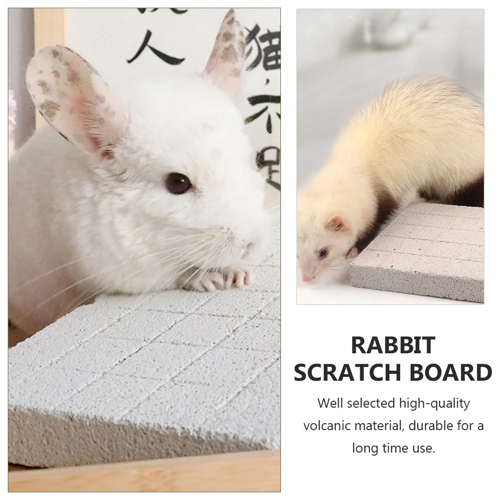Rabbit Scratch